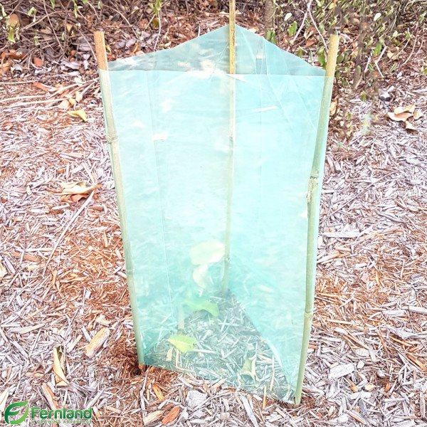 Garden/Planting Accessories – The Native Shop
