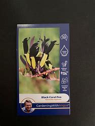Seeds – The Native Shop