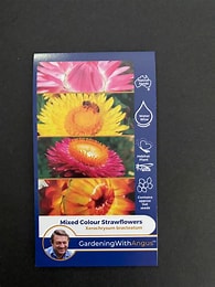 Angus seeds Mixed colour strawflowers (SEEDS) – The Native Shop