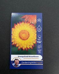 Angus seeds Orange / Gold strawflowers seeds – The Native Shop