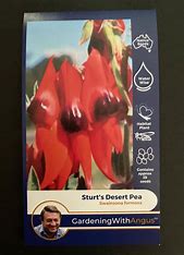 Angus seeds Sturt Desert Pea (SEEDS) – The Native Shop