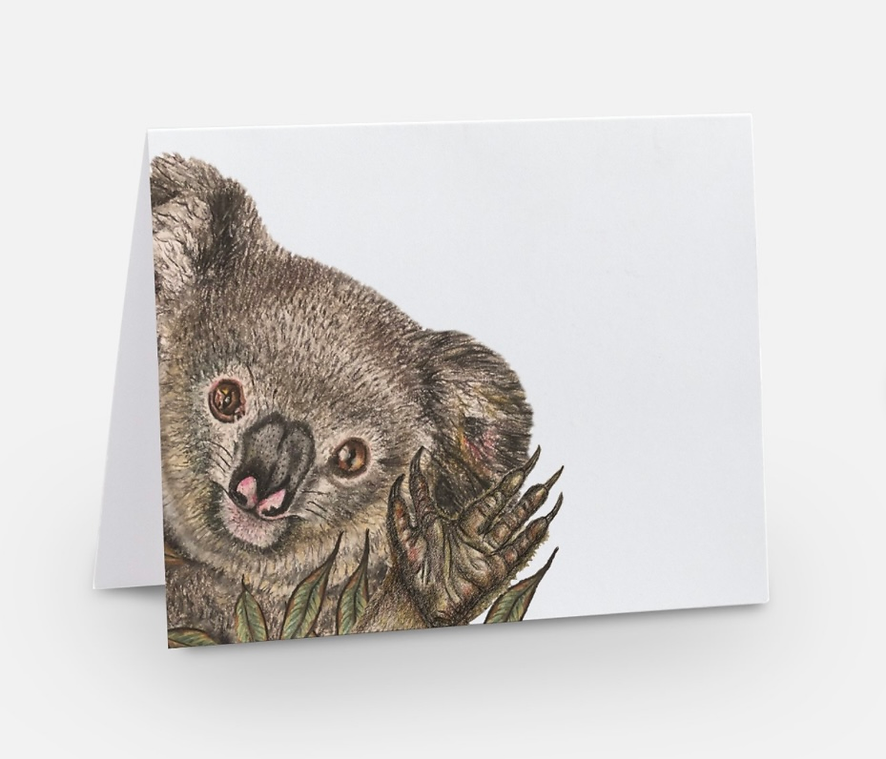 Blank Koala greeting card by Samara Dixon – The Native Shop
