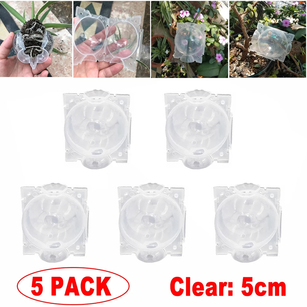 1/3/5/Pcs Visible Plant Root Ball Graft Growing Case – The Native Shop