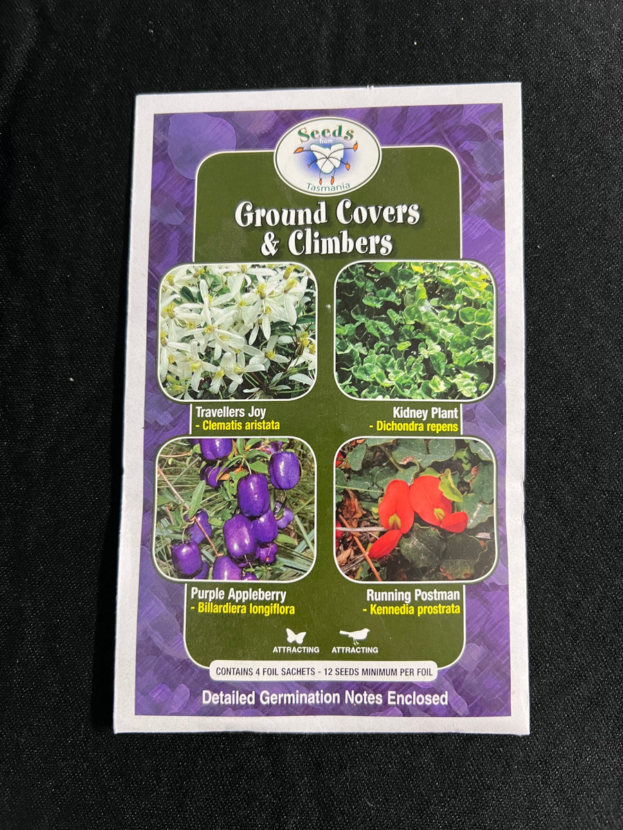 Ground covers & Climbers - travellers joy, Kidney Plant, Purple Appleb ...