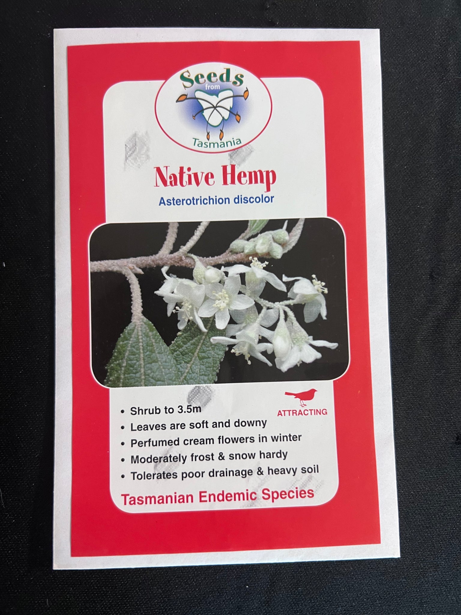 Native Hemp - Asterotrichion discolor (SEEDS) – The Native Shop