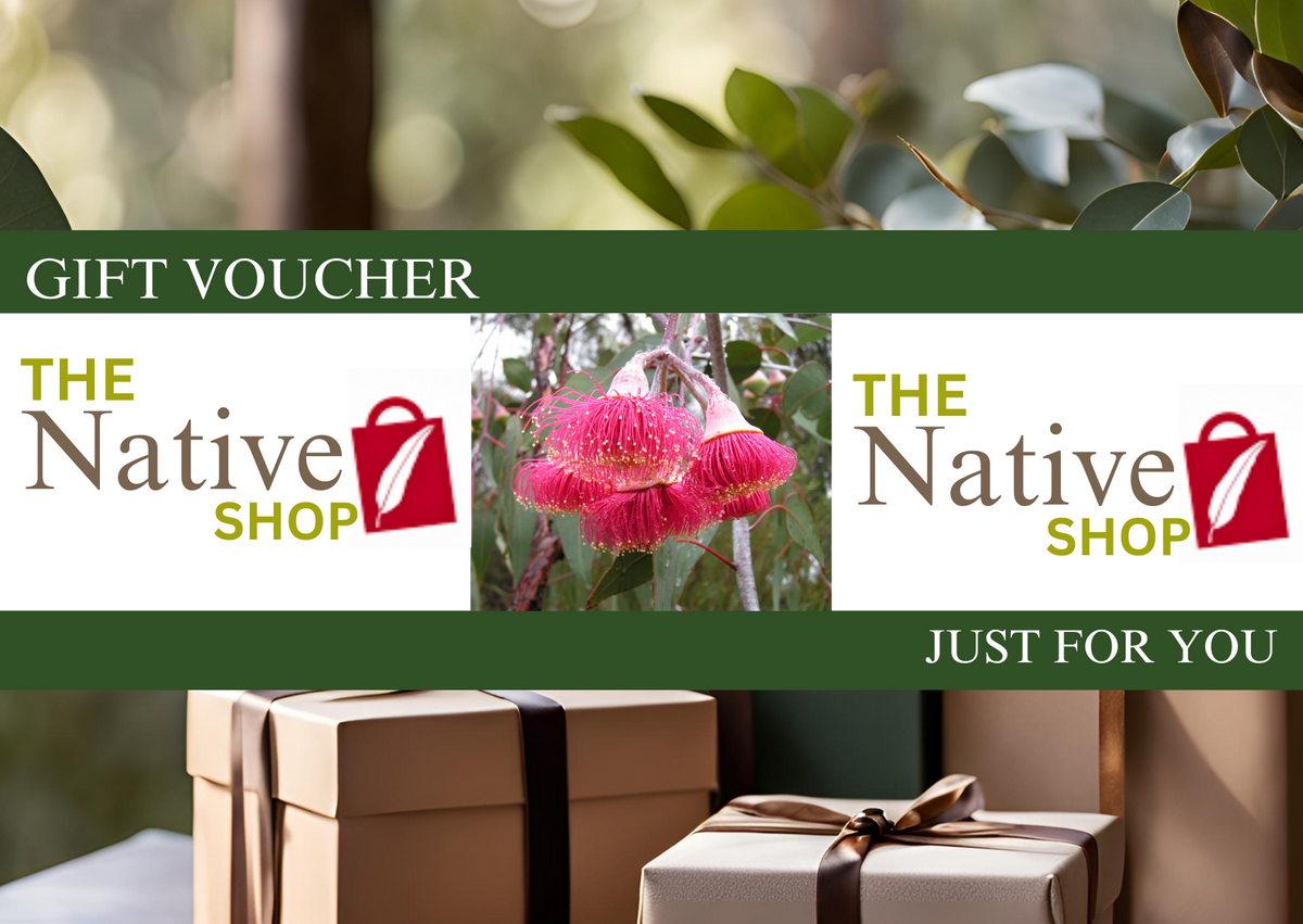 01 A Gift Card – The Native Shop