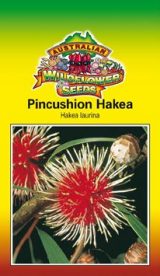 Pincushion Hakea - Hakea Laurina (SEEDS) – The Native Shop