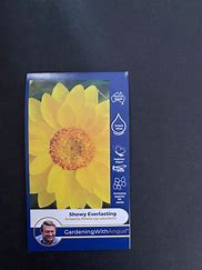 Angus seeds Showy Everlasting (SEEDS) – The Native Shop