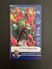Seeds – The Native Shop