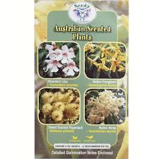 Australian Scented Plants - Mountain Lilac, Native Frangipani, Sweet S ...