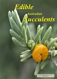 Attila Kapitany Edible Australian Succulents | The Native Shop