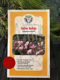 Native Indigo - Indigofera Australis (SEEDS) – The Native Shop