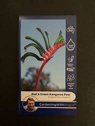 Seeds – The Native Shop