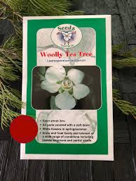 Woolly Tea Tree - Leptospermum lanigerum seeds – The Native Shop